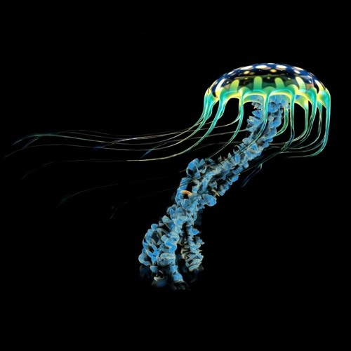 Stream MeDuse Noir - Gabba heartbeat (set) by MeDuse Noir | Listen ...