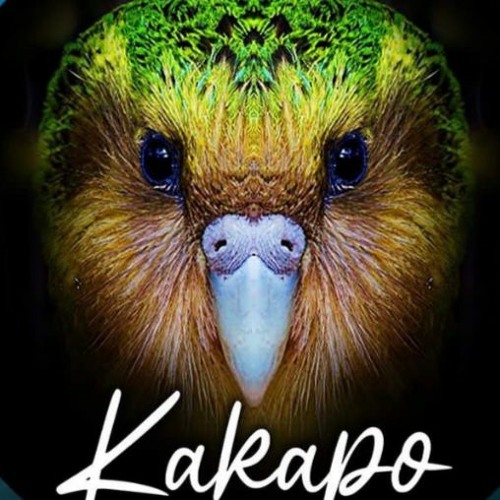 Stream Spring Promo Mix 2022 by Kakapo | Listen online for free on ...