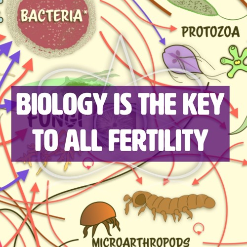 Stream episode Ep. 190 | Soil Biology Is The Key To All Fertility by ... Stream episode Ep. 190 | Soil Biology Is The Key To All Fertility by ...