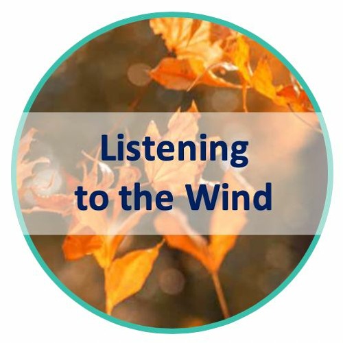 Stream Listening To The Wind - Visualisation for Children guided by ...