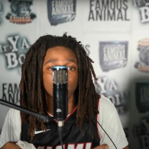 Stream Hurricane Wisdom Famous Animal freestyle by B | Listen online ...