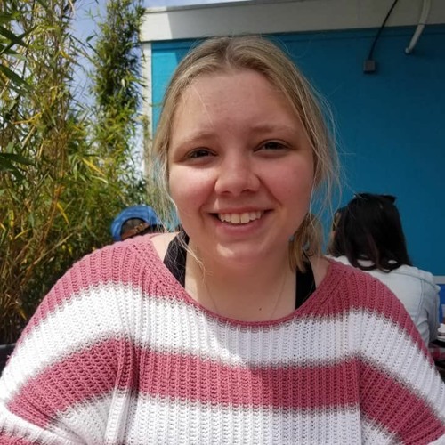 Stream Allie Kehret Interview by Brady Dixon | Listen online for free ...