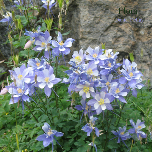 Stream Cuddles by Daniel DeLay | Listen online for free on SoundCloud