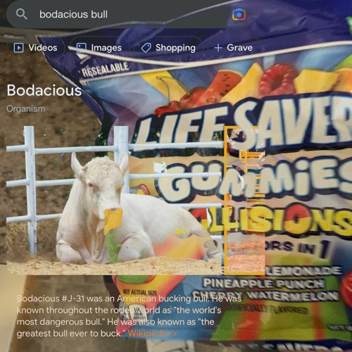 Bodacious Bull Poster