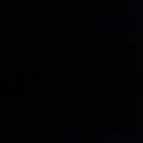 Stream Steven Beak | Listen to why not playlist online for free on ...