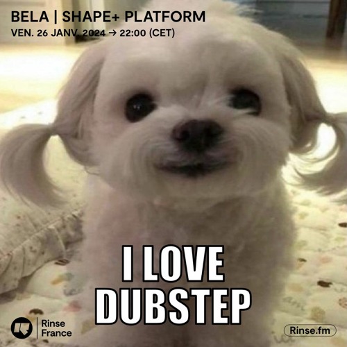 Stream bela | Shape+ platform - 26 Janvier 2024 by Rinse France ...