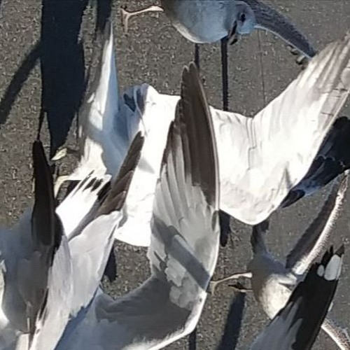 Stream ARCMIX028 - Bleupulp - June 2024 mixtape by Apocalypse Rave ...