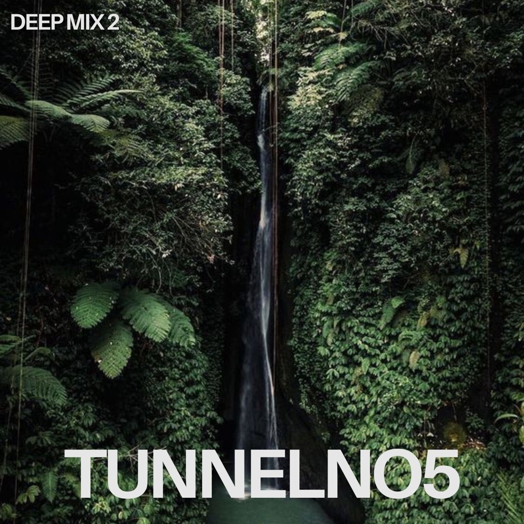 Stream Deep Mix Vol. 2 by TUNNELNO5 | Listen online for free on SoundCloud