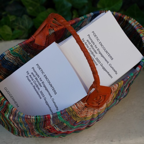 Stream Poetic Encounters: Prompts for Engagement, Curiosity, and Wonder ...