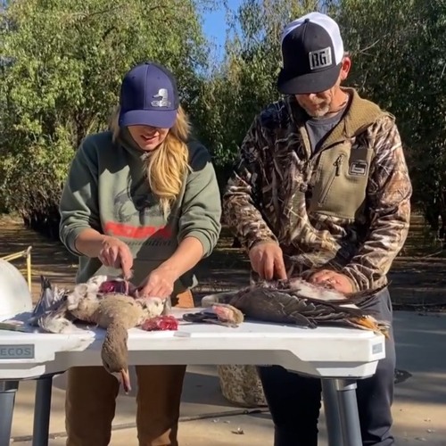 Stream E288 Bad Boy Mowers Presents The Fowl Life Podcast with guests ...