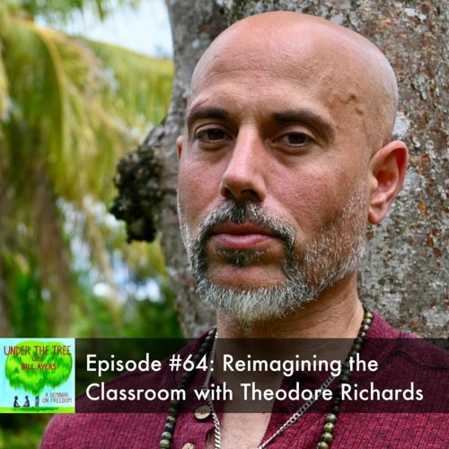 Stream Reimagining the Classroom with Theodore Richard by Under the Tree with Bill Ayers ...