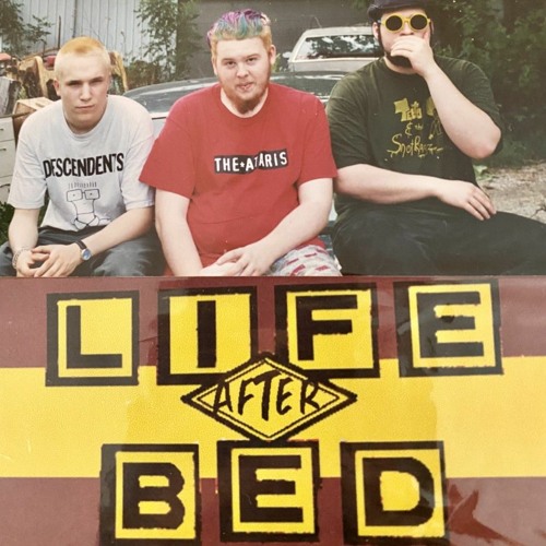Stream Teenage Mutant Ninja Turtles Theme - Live 2003 by Life After Bed ...