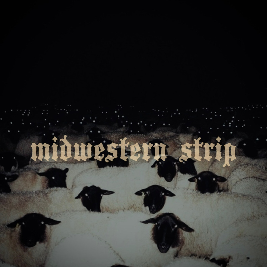 Stream midwestern strip **MUSIC VIDEO IN DESCRIPTION** by chasy ...