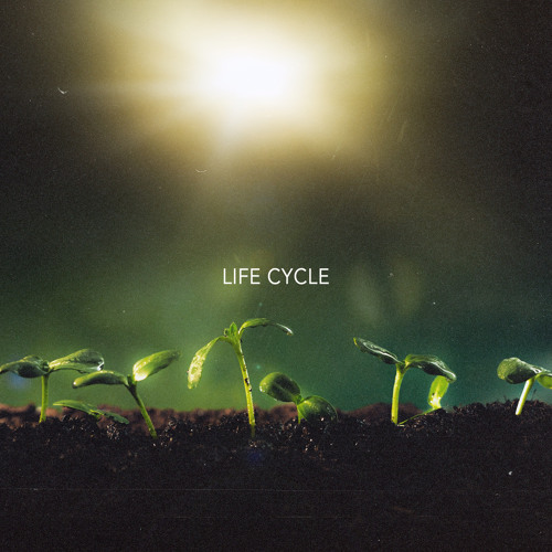 Stream life cycle by Aquas | Listen online for free on SoundCloud