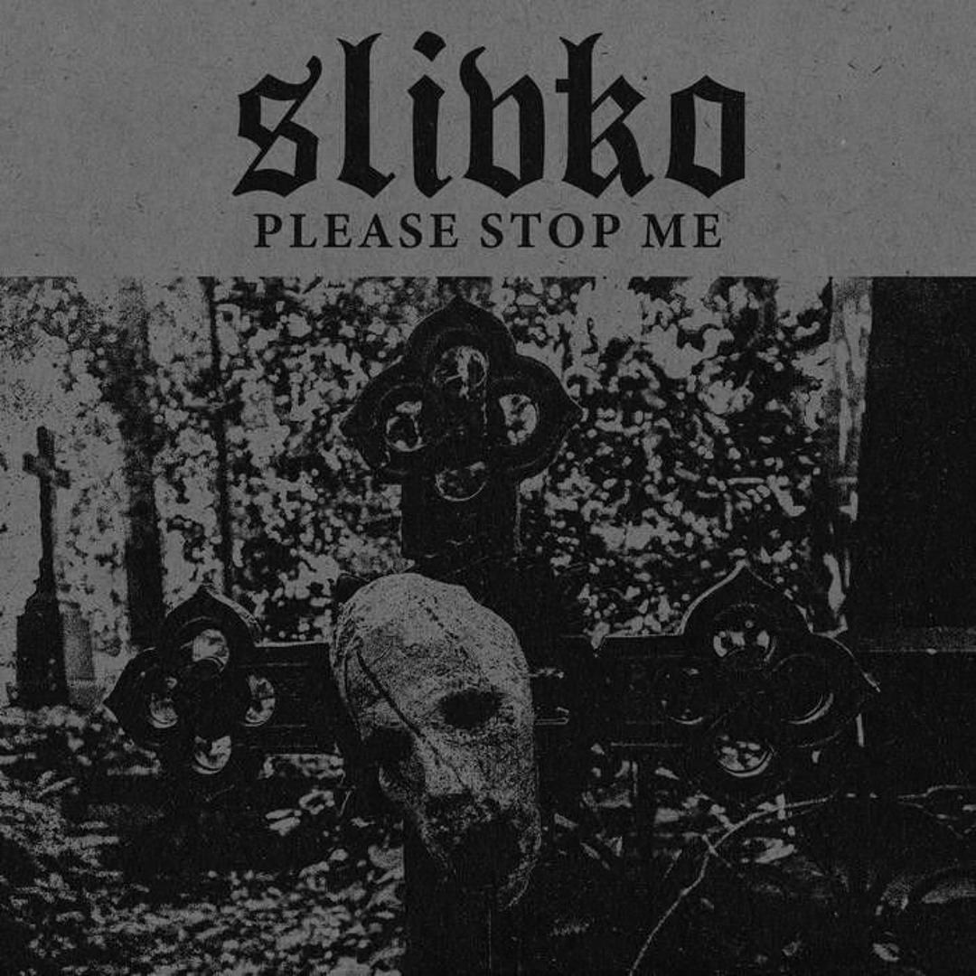 Stream Slivko - Please Stop Me by fefilov | Listen online for free on ...