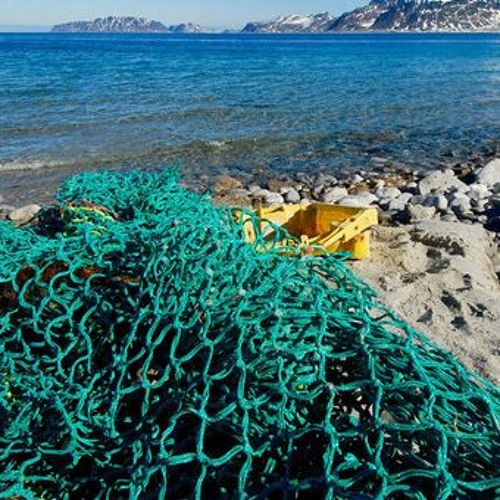 Stream Pnuma celebra seus 50 anos focando em soluções para desafios ...