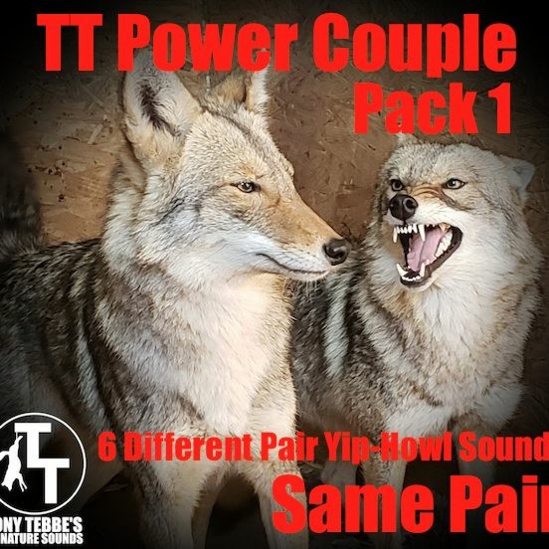 Stream TT Power Couple Pack 1 by Tony Tebbe | Listen online for free on ...