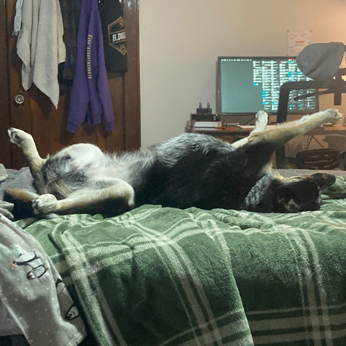 Stream B Dolan Modified Warrior(Danny 9lives remix) by Danny 9lives ...