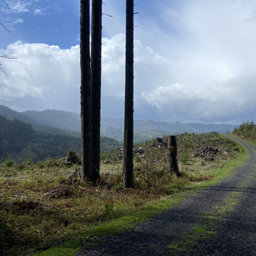 Stream Getaway Gateway by Hypnonaut | Listen online for free on SoundCloud