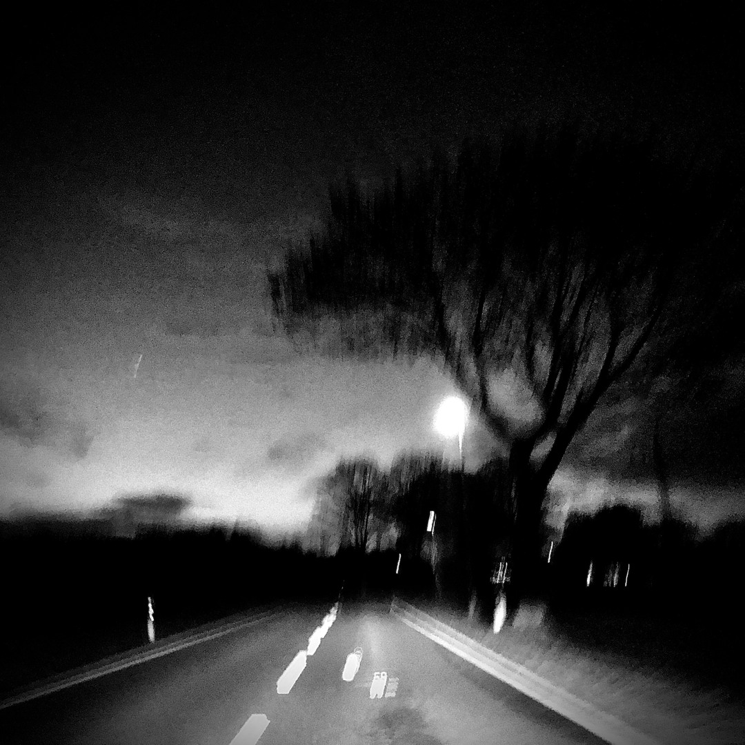 Stream CAT Loeb SONGS voiture (stimming wicked car mix) by MARCUS ...