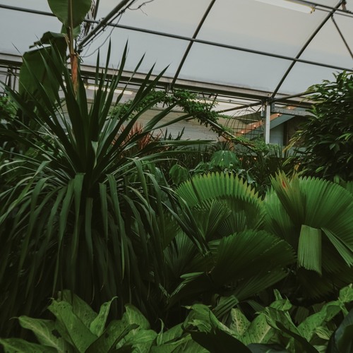 Stream medasin - overdose vol. 1 by eeceen | Listen online for free on ...