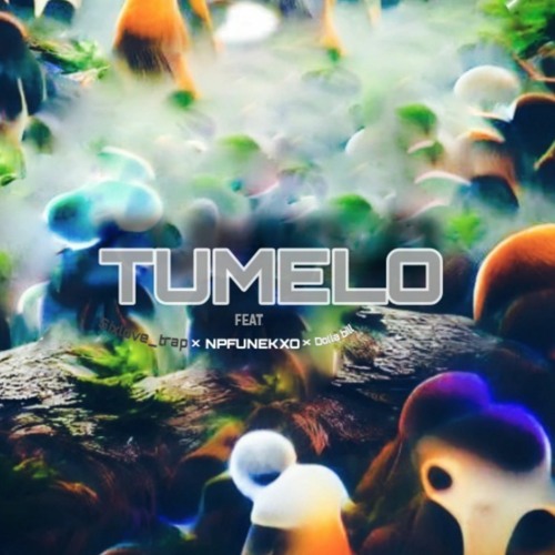 Stream Tumelo(feat.Npfunekxo & Sixlove_trap)prod by Dolla Bill.mp3 by ...