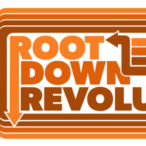 Stream Dave Bradshaw_Original Music | Listen to Root Down Revolution playlist online for free on ...