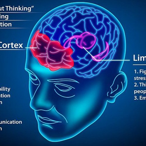 Stream We're Just A Confused Species In An Awkward Transition Phase by ...