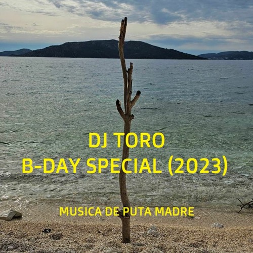 Stream DJ TORO - B - DAY SPECIAL (2023) by 🄳🄹 🅃🄾🅁🄾 | Listen online for ...