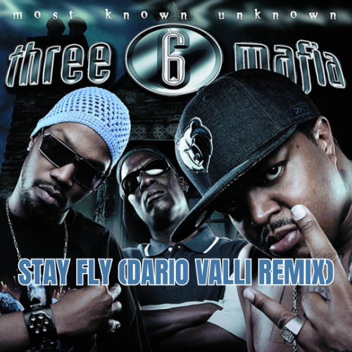 Stream Stay Fly (Dario Valli Remix) by Dario Valli | Listen online for ...