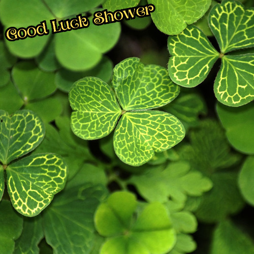 Stream Good Luck Shower by Maria Johnsen | Listen online for free on ...