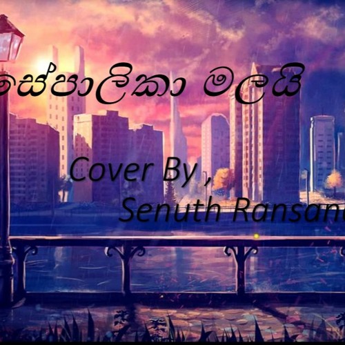 Stream Sepalika Malai (සේපාලිකා මලයි) Cover By Senuth Ransana by Senuth ...