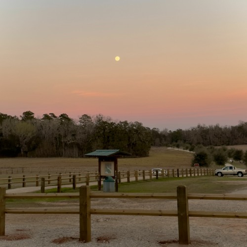 Stream Chief Rabbit by horse control | Listen online for free on SoundCloud