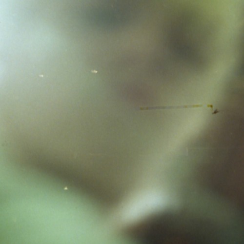 Stream myopia by charlie ing | Listen online for free on SoundCloud