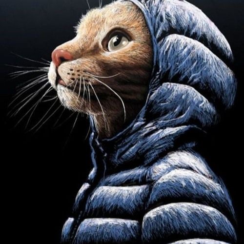 Stream okaymar - friend (hoku) by hoku | Listen online for free on ...