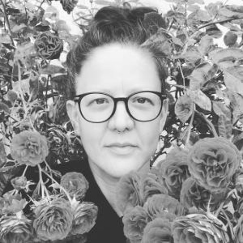 Stream Lisa Fink | Listen to Unsettled Ecologies playlist online for ...