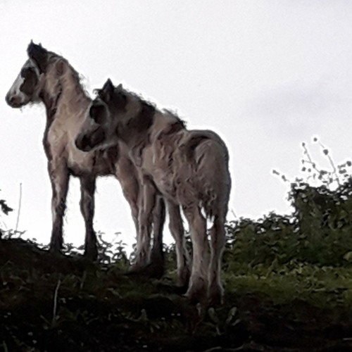 Stream Sure, Why Tha F**k Not by Brendan Dempsey | Listen online for ...