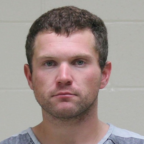 Stream Blake Braun, Failure to Appear & Violation of Probation (Eluding ...