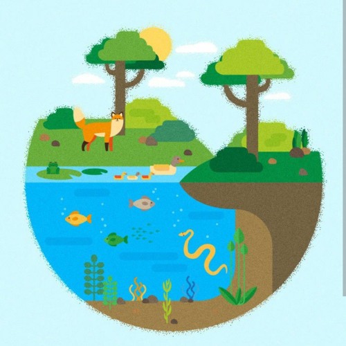 Stream Ecosistemas.mp3 by Luis Piñerez | Listen online for free on ...