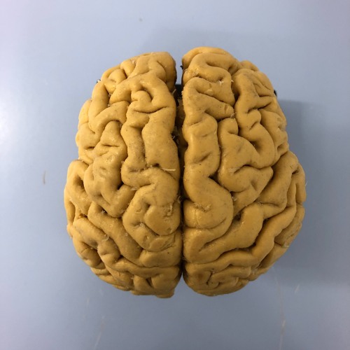 Stream episode #01 Inimese meeled: aju by Eesti Tervishoiu Muuseum ...