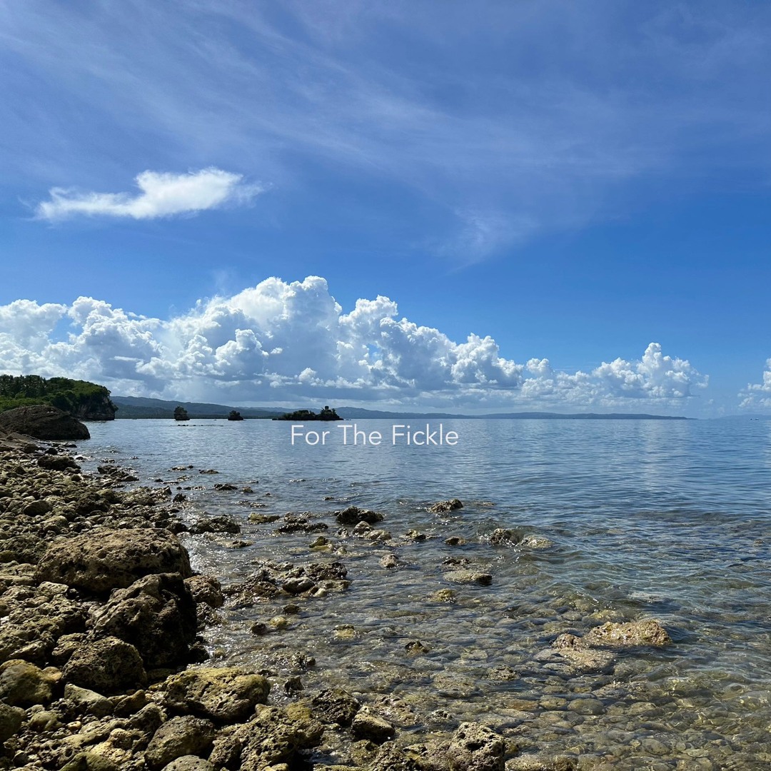 Stream For The Fickle (Reese Lansangan Cover) by Nini | Listen online ...