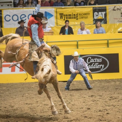 Stream Watch CNFR: College National Finals Rodeo 2023 — Live Online by ...