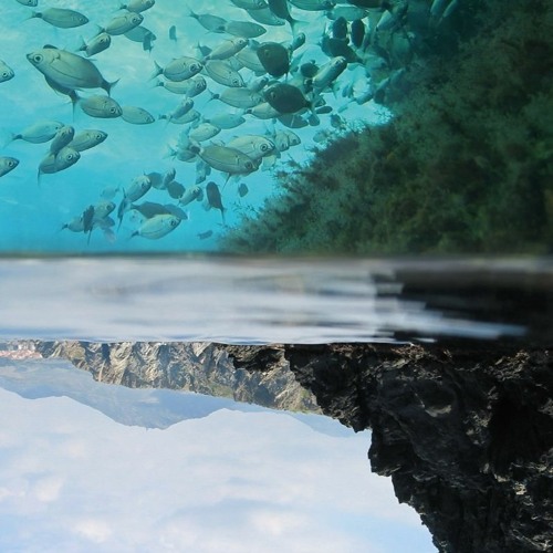 Stream Inverted Sea by Super Jelly | Listen online for free on SoundCloud