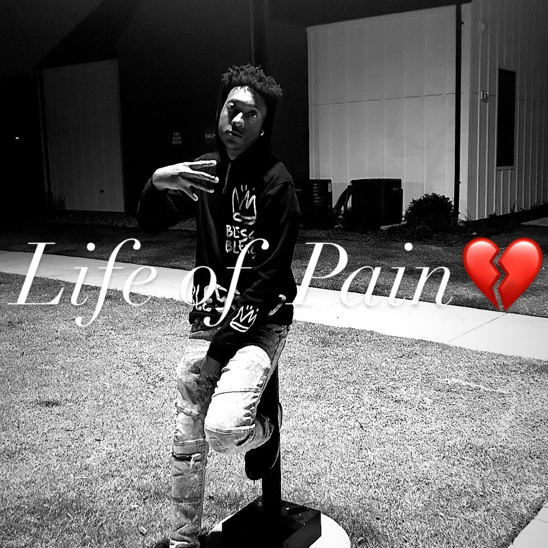 Stream Music Playlist Only (16) | Listen to life of pain - abk jr.m4a ...