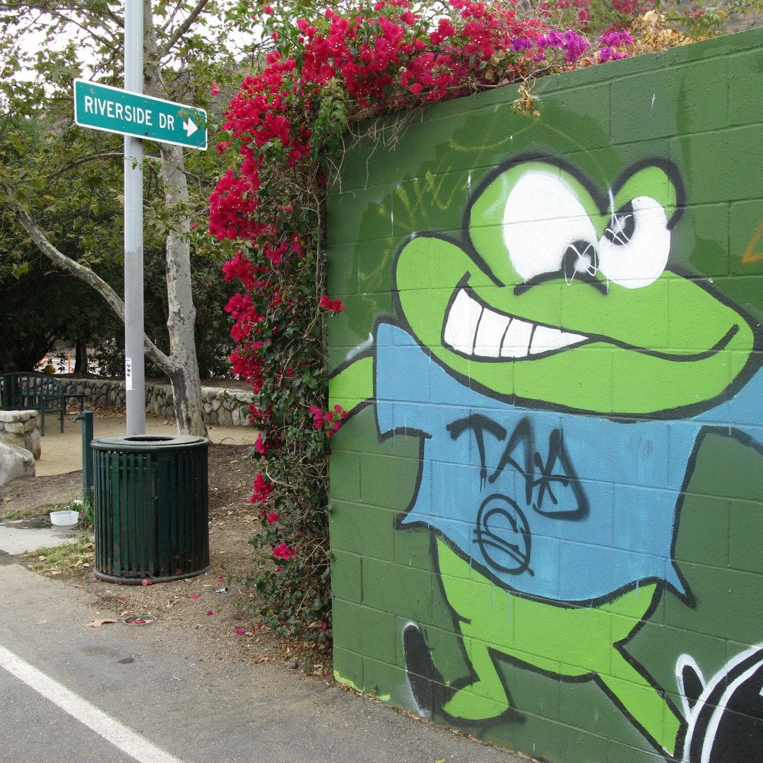 Stream Frogtown: When Frogs Overran the Streets in the 1970s by Sounds ...