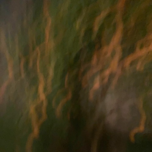 Stream footsteps and green through trees by Jack Annear | Listen online ...