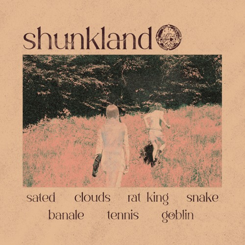 Stream Shunk | Listen to Shunkland playlist online for free on SoundCloud