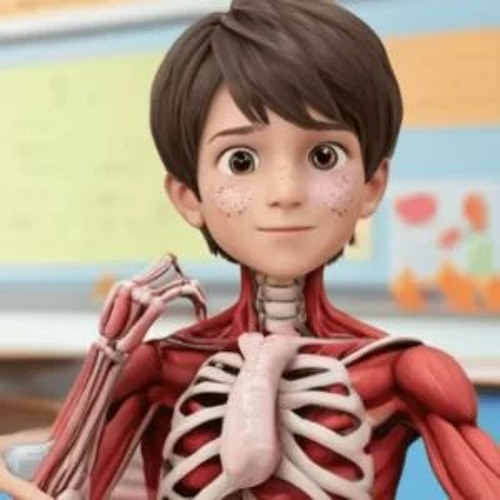 Stream Explorando As Partes Do Corpo - Learn Body Parts In Portuguese ...