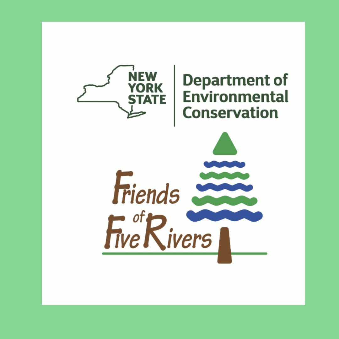 Stream Five Rivers Environmental Education Center by Hudson Mohawk ...