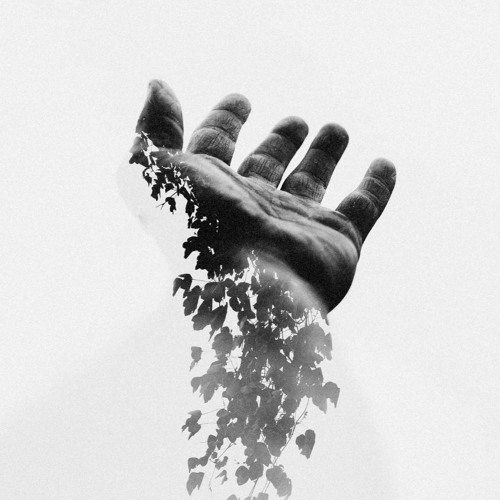 Stream LöKii, Linney - Dont Let Go by LöKii | Listen online for free on ... Stream LöKii, Linney - Dont Let Go by LöKii | Listen online for free on ...